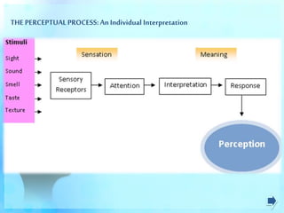 Perceptions | PPTX | Science