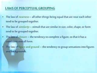 Perceptions | PPTX | Science