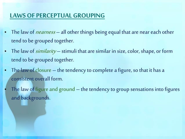 Perceptions | PPTX | Science