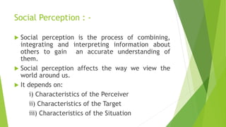 Perceptions | PPTX