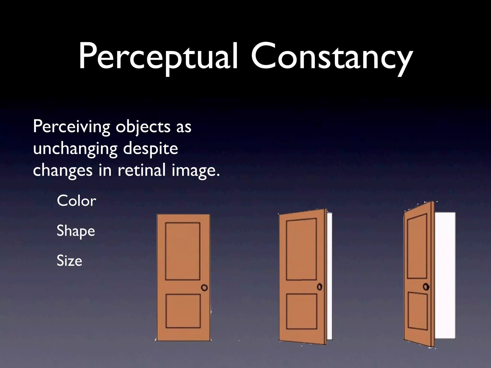 Perception Slides | KEY