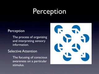 Perception Slides | KEY