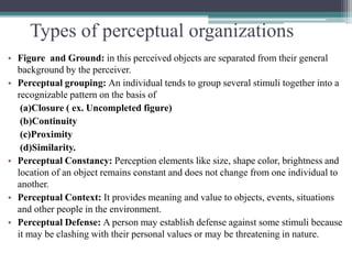 Perception | PPT