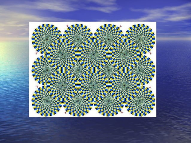 Perception Test | PPT