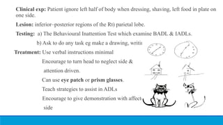 Perception testing and training | PPTX