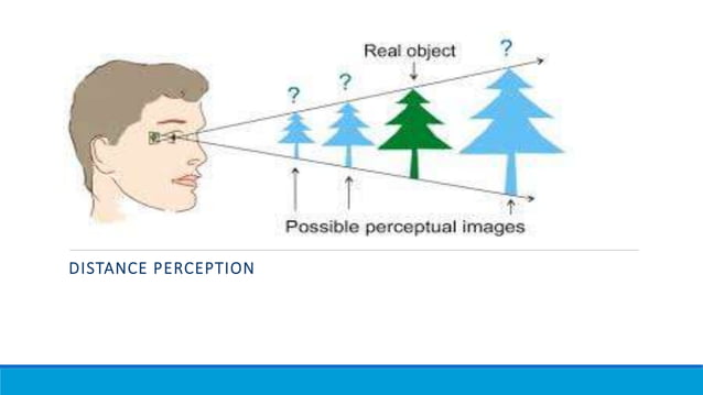 Perception testing and training | PPTX