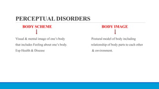 Perception testing and training | PPTX