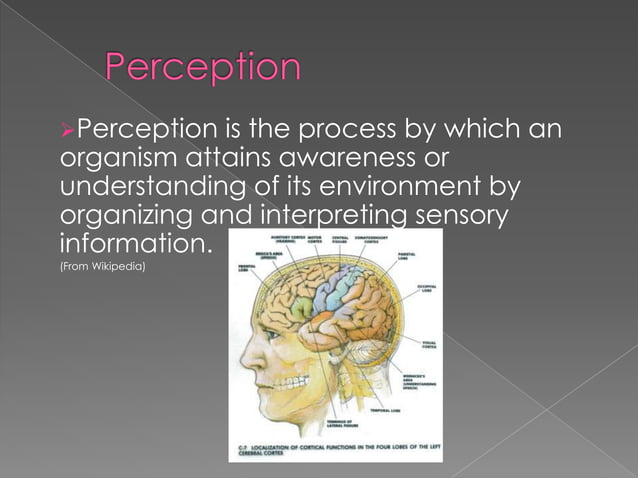 Perception & the influencing factors | PPTX