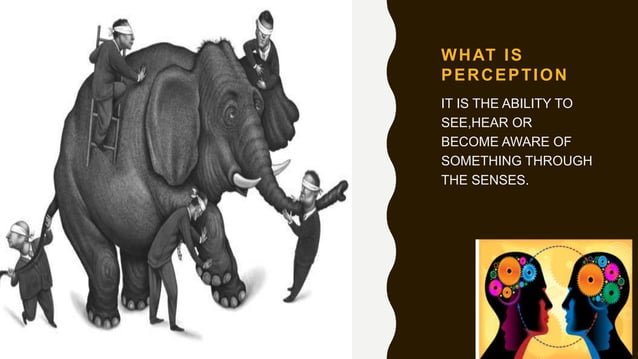 Perception vs reality | PPTX