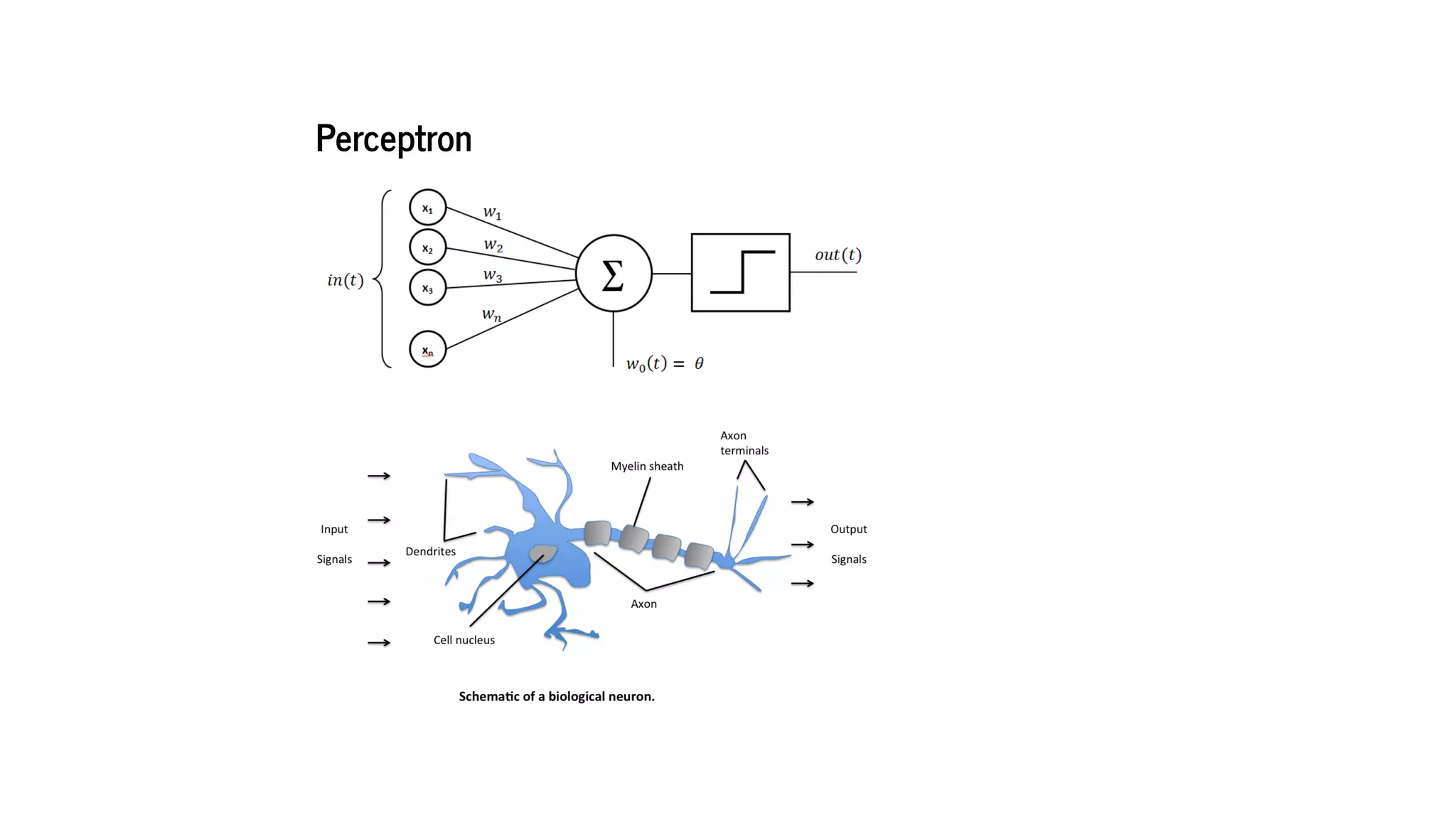 Artificial Neural Network | PDF