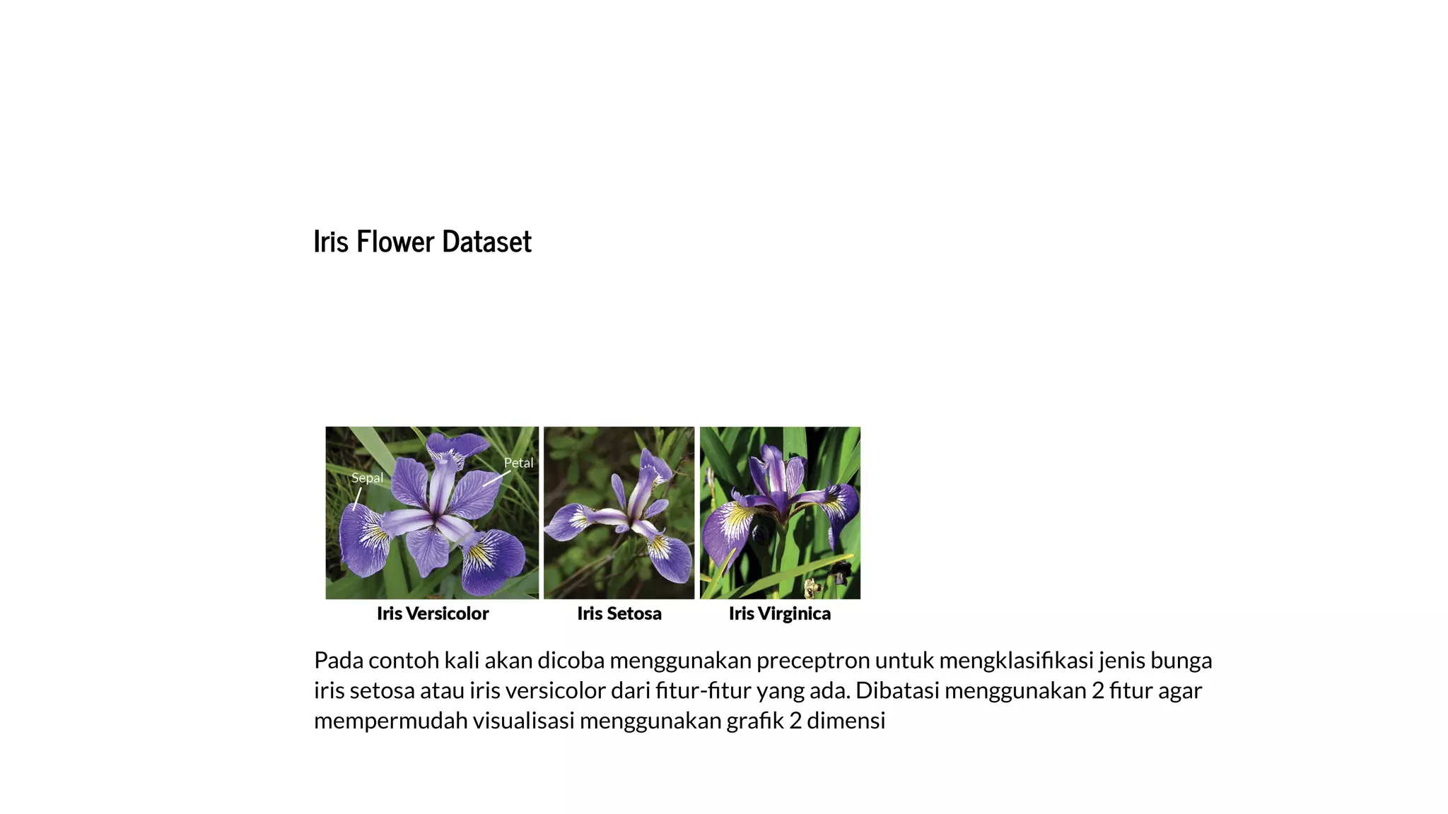 Artificial Neural Network | PDF