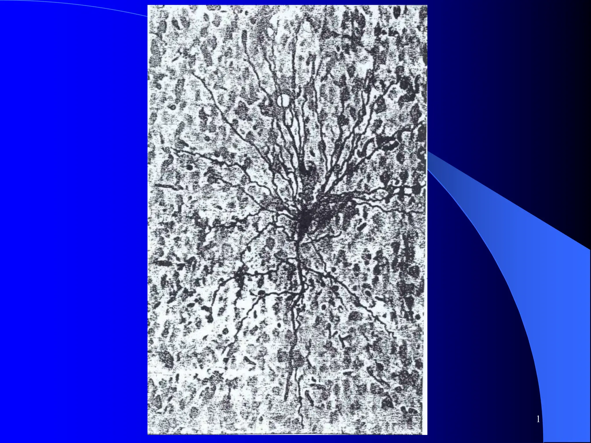 Perceptron noural network algorithme .pptx