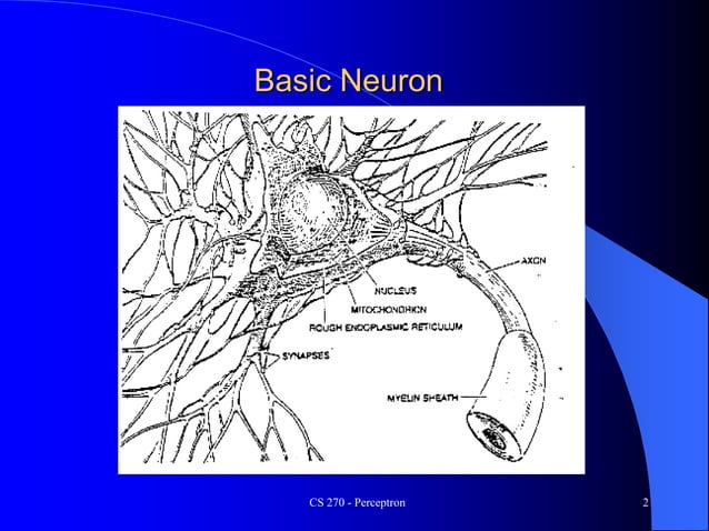 Perceptron noural network algorithme .pptx