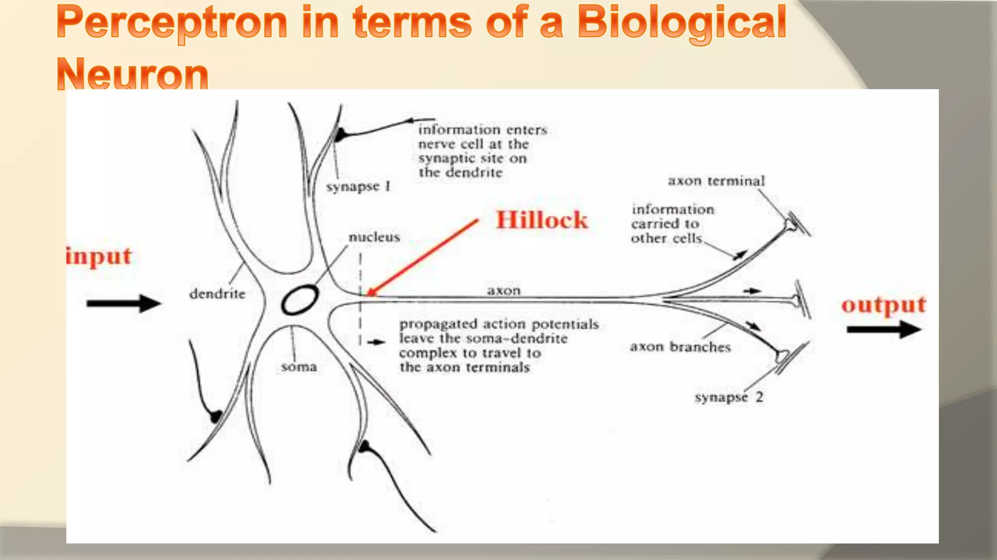 Perceptron (neural network) | PPSX