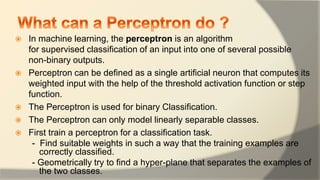 Perceptron (neural network) | PPSX