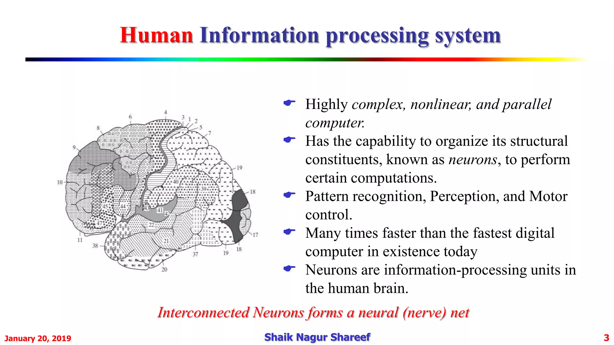 Perceptron & Neural Networks | PPTX