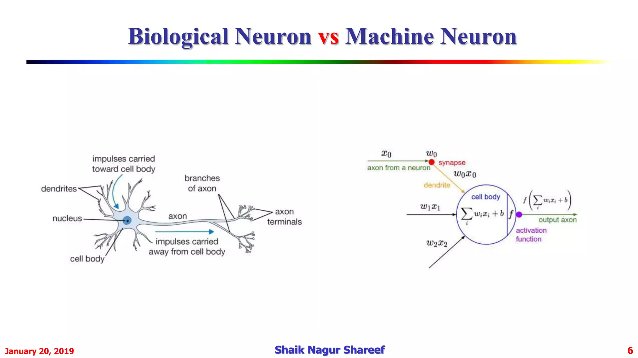 Perceptron & Neural Networks | PPTX