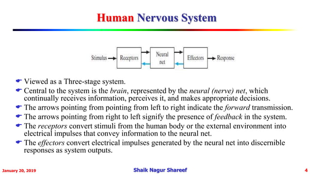 Perceptron & Neural Networks | PPTX
