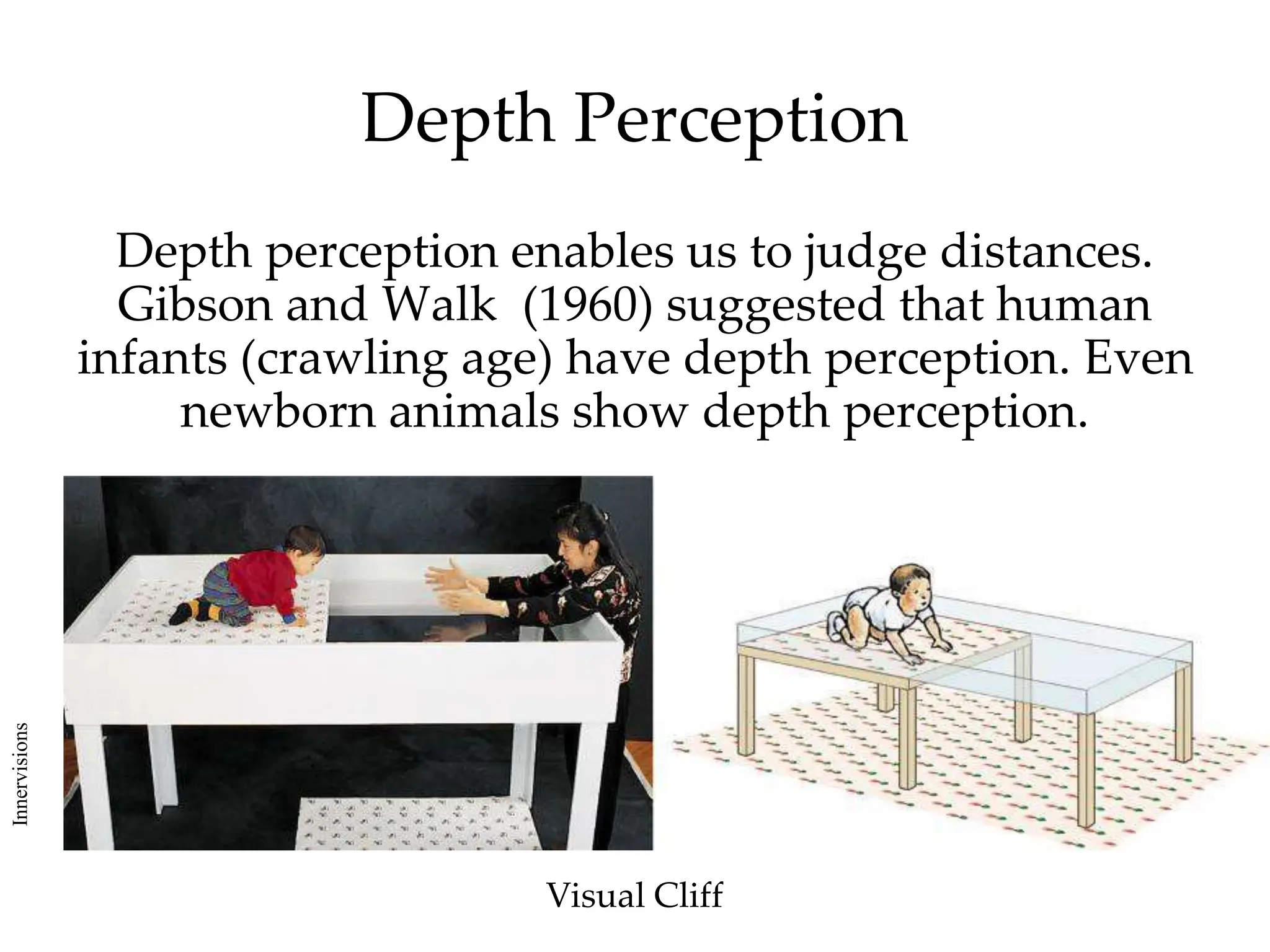 perceptual%20organization%20modnule.pptx