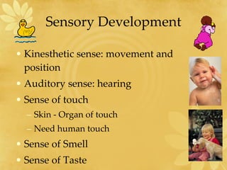 Perceptual and motor development | PPT
