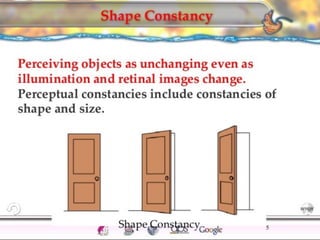 Shape Constancy
