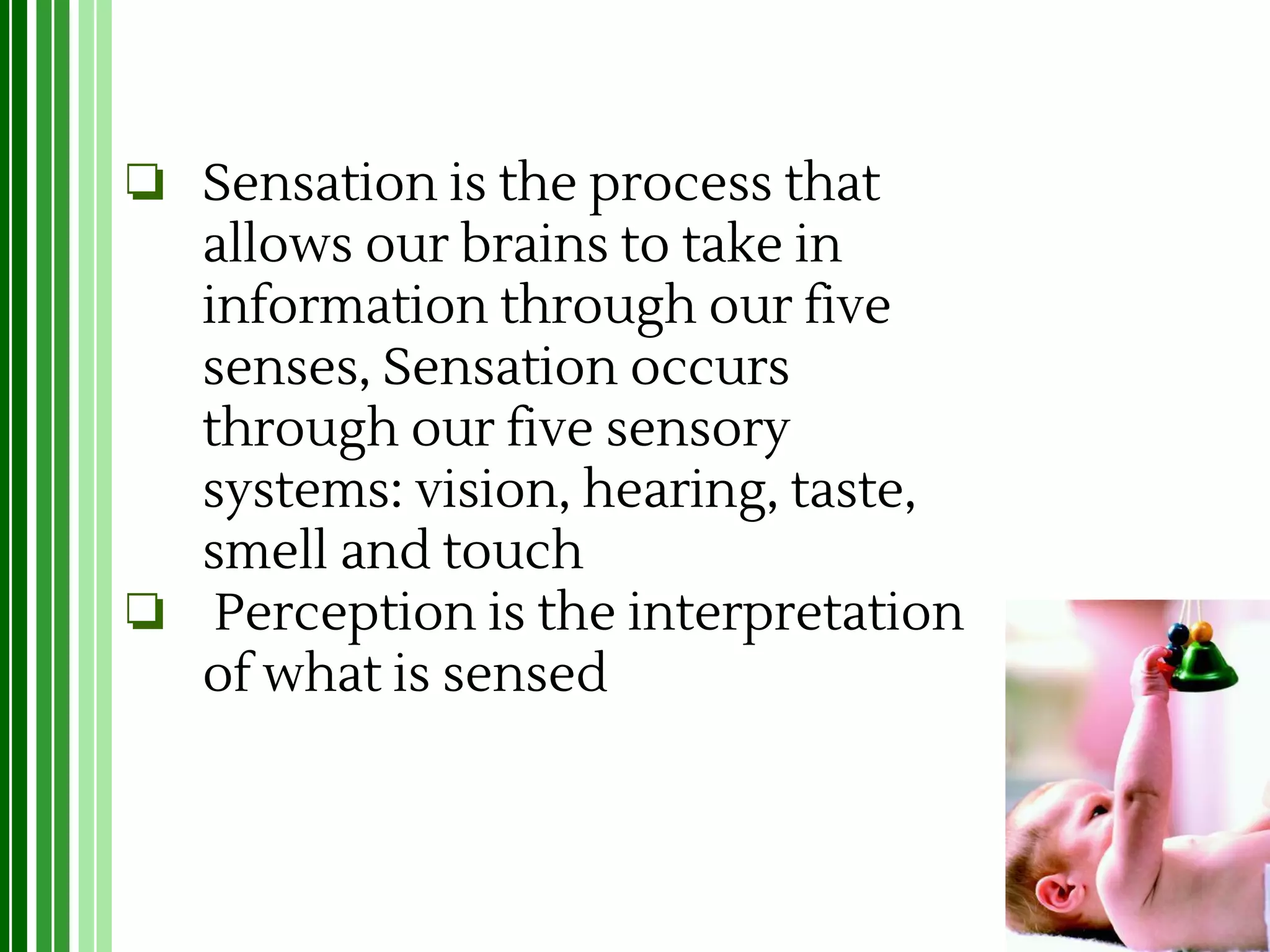 PerceptualDevelopment.pdf