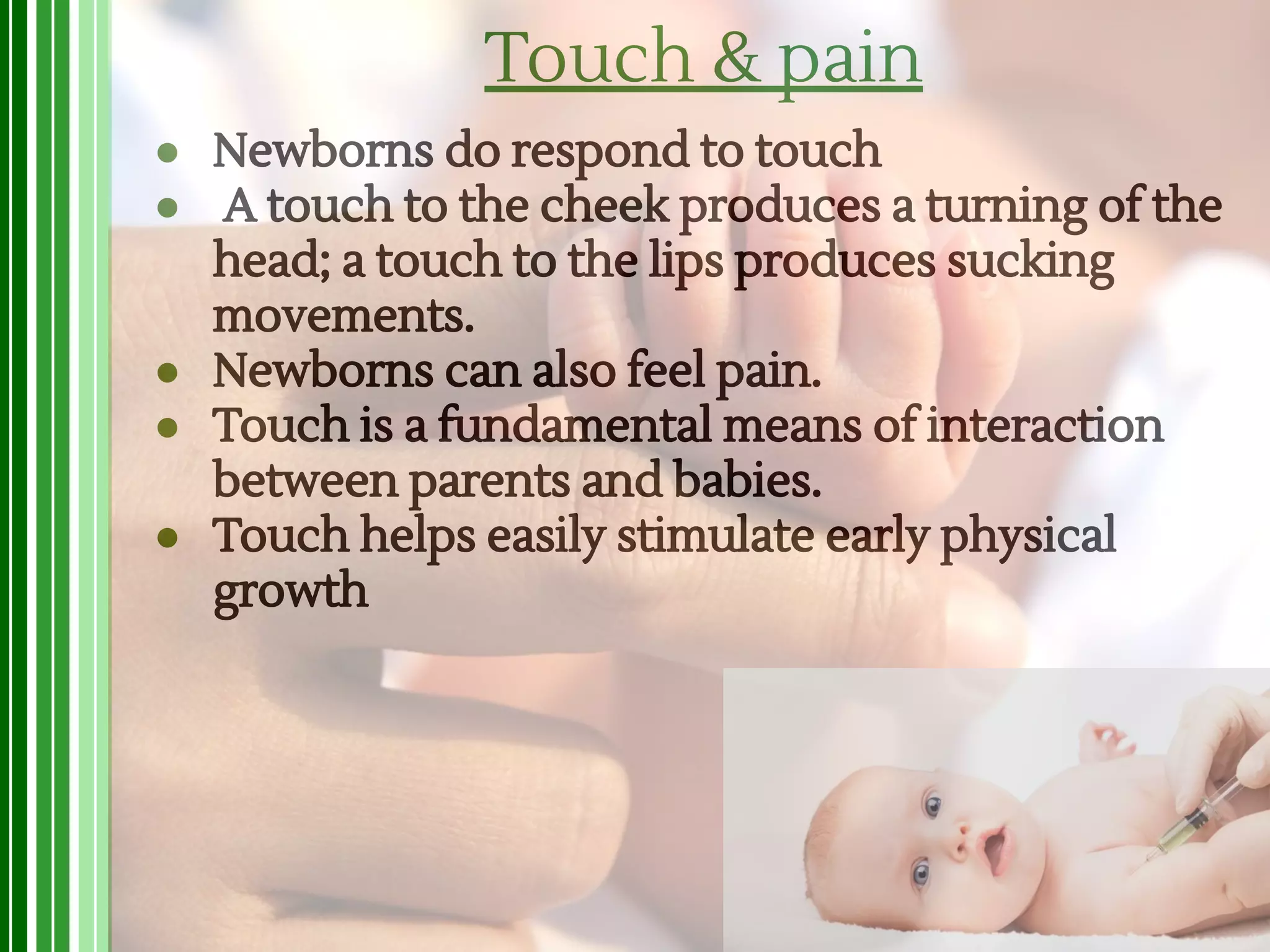 PerceptualDevelopment.pdf