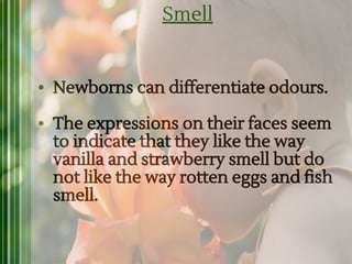 PerceptualDevelopment.pdf