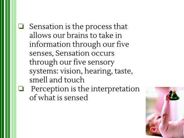 PerceptualDevelopment.pdf