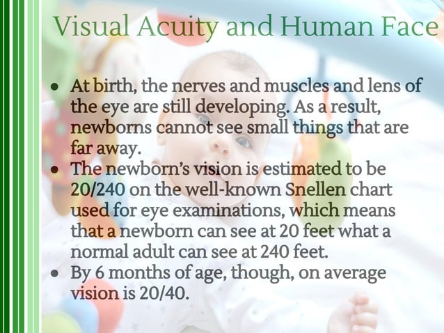 PerceptualDevelopment.pdf