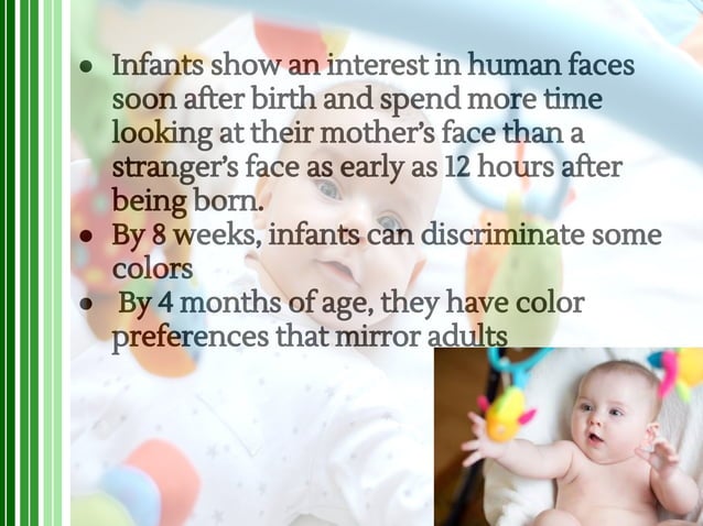 PerceptualDevelopment.pdf