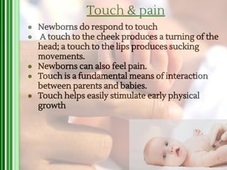 PerceptualDevelopment.pdf