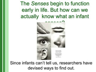 PerceptualDevelopment.pptx