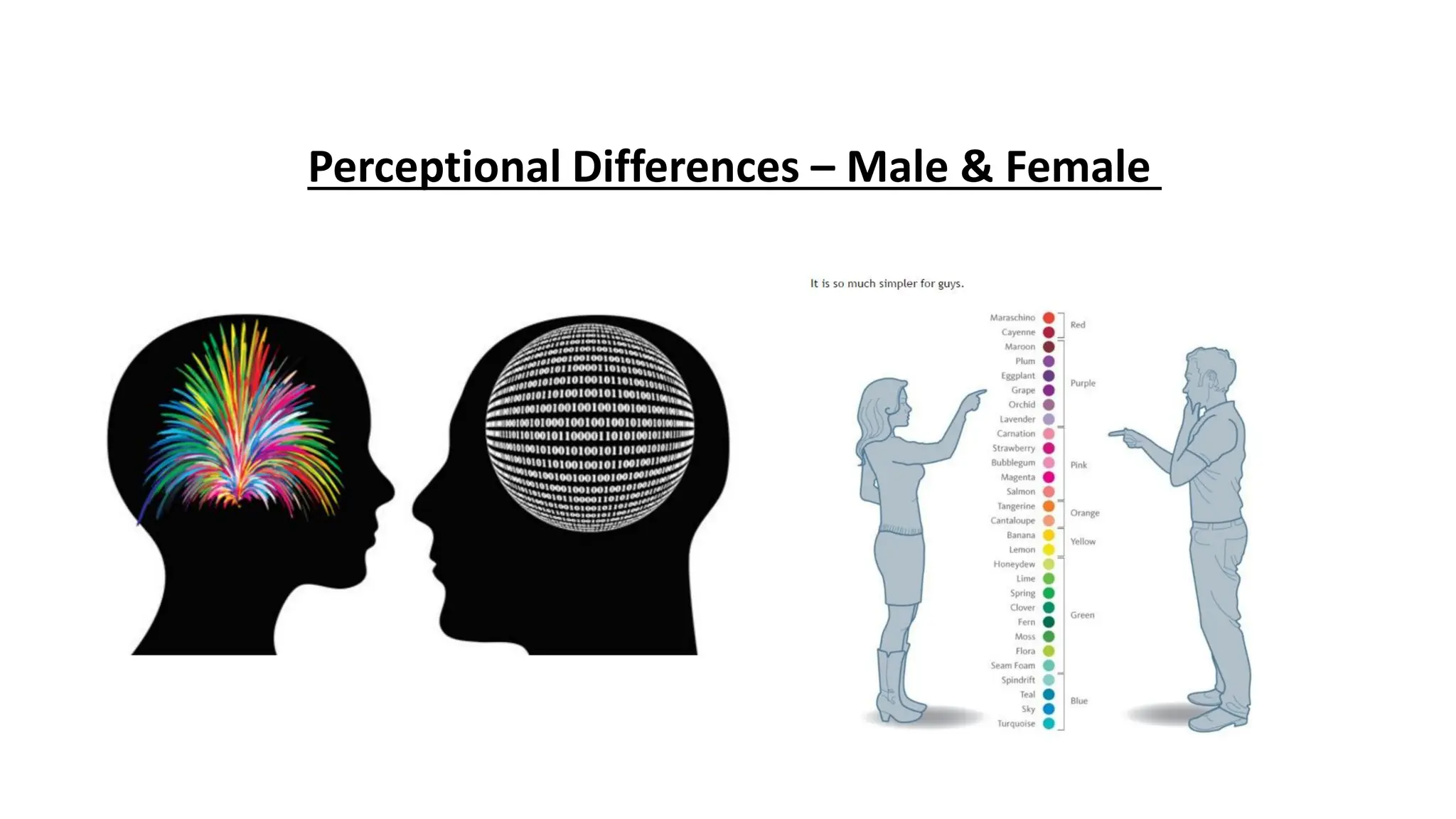 Perceptual Differences -Why - by Iqbal K | PDF