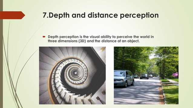 perceptual disorder.pdf | Brain and Nervous System Disorders | Diseases ...