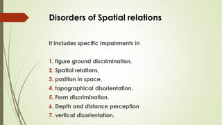 perceptual disorder.pdf