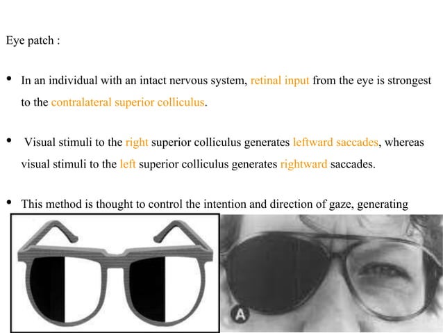 Perceptual Disorders ppt .pptx