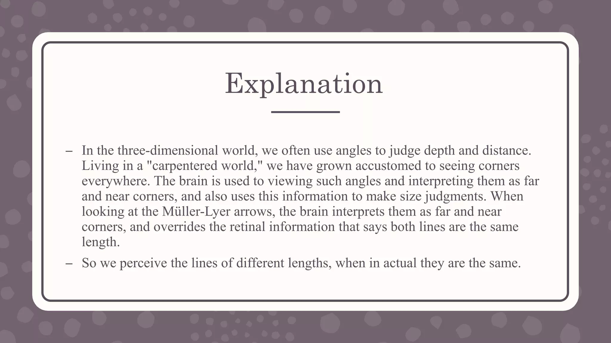 Perceptual Errors | PPTX