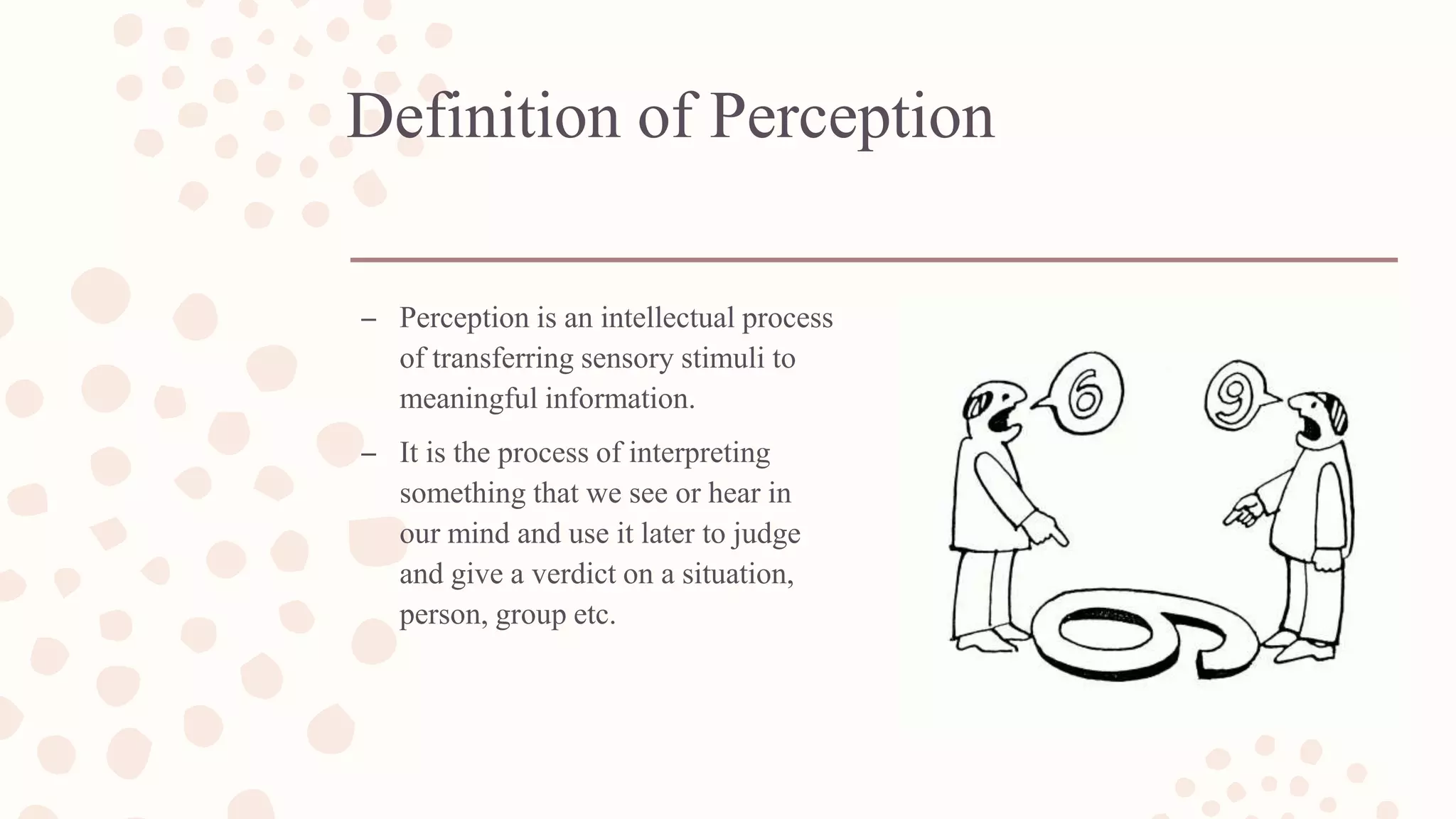 Perceptual Errors | PPTX