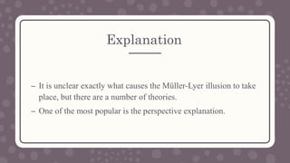 Perceptual Errors | PPTX