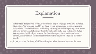 Perceptual Errors | PPTX