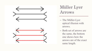 Perceptual Errors | PPTX