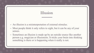 Perceptual Errors | PPTX