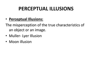 PERCEPTUAL ORGANIZATION.pptx for MEDICAL | PPTX | Science