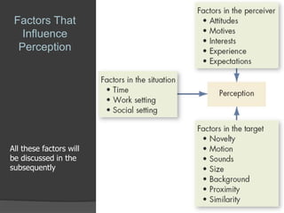 Perceptual organization & factors influencing perception | PPTX