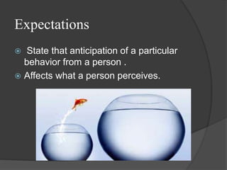 Perceptual organization & factors influencing perception | PPTX