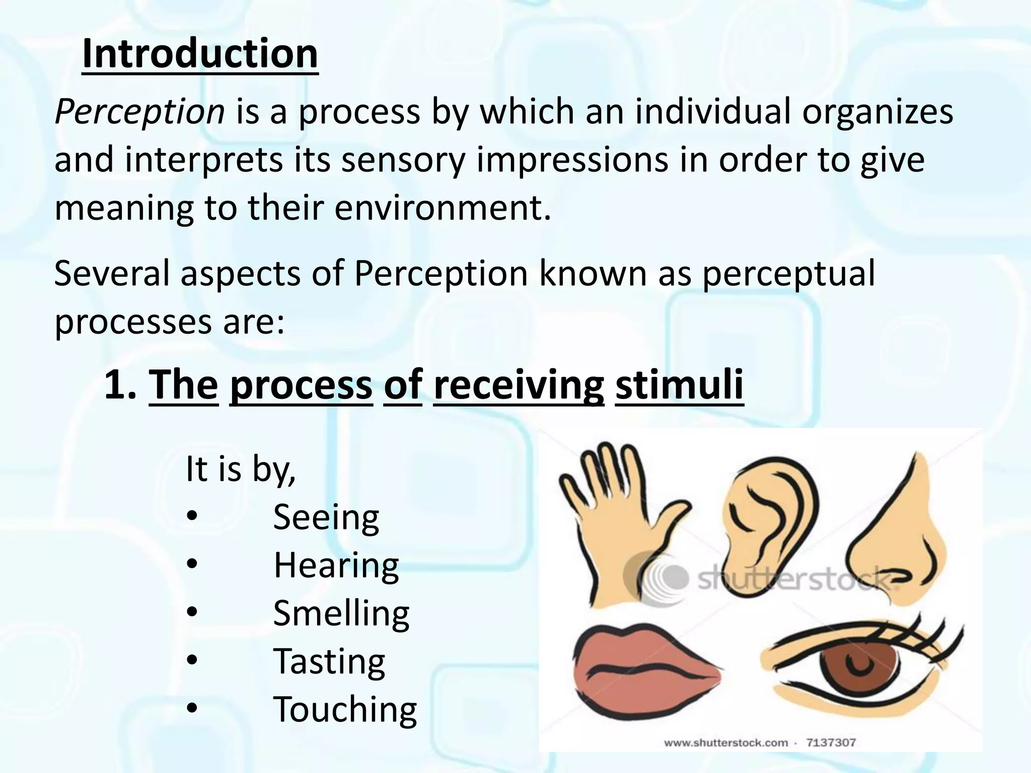 Perceptual process | PDF