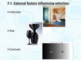 Perceptual process | PDF