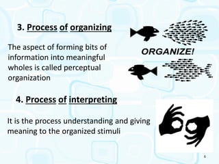 Perceptual process | PDF