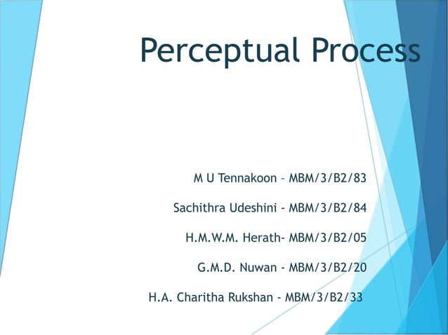 Perceptual Process - Organizational Behaviour | PPT